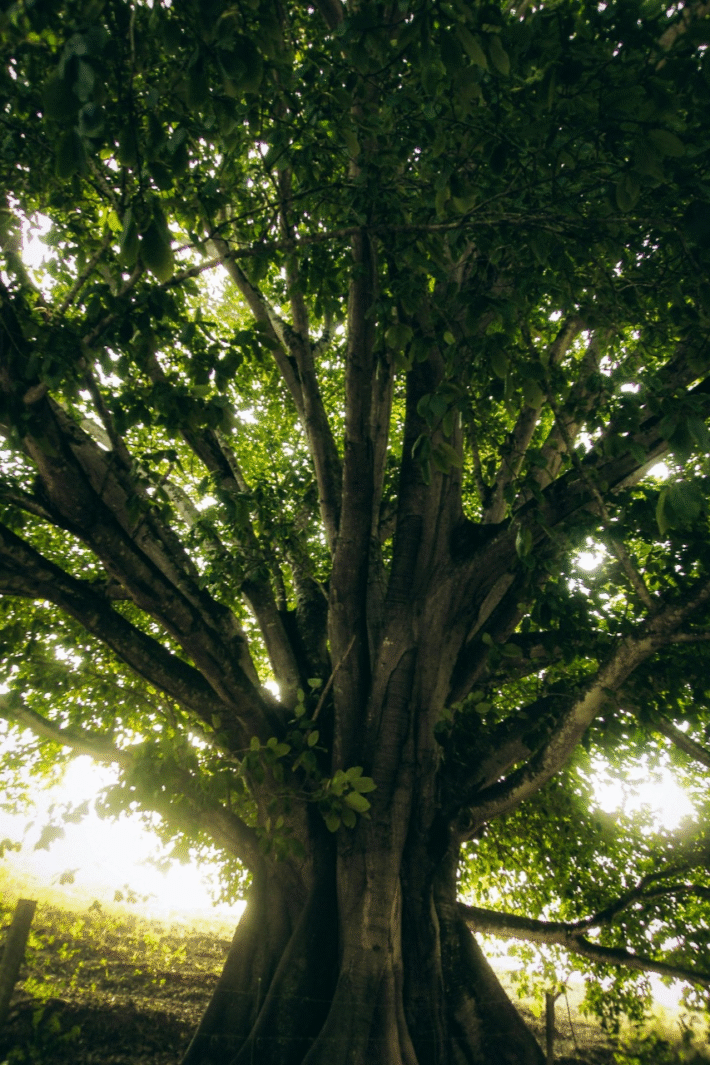 Our Verticals – Neeyovan